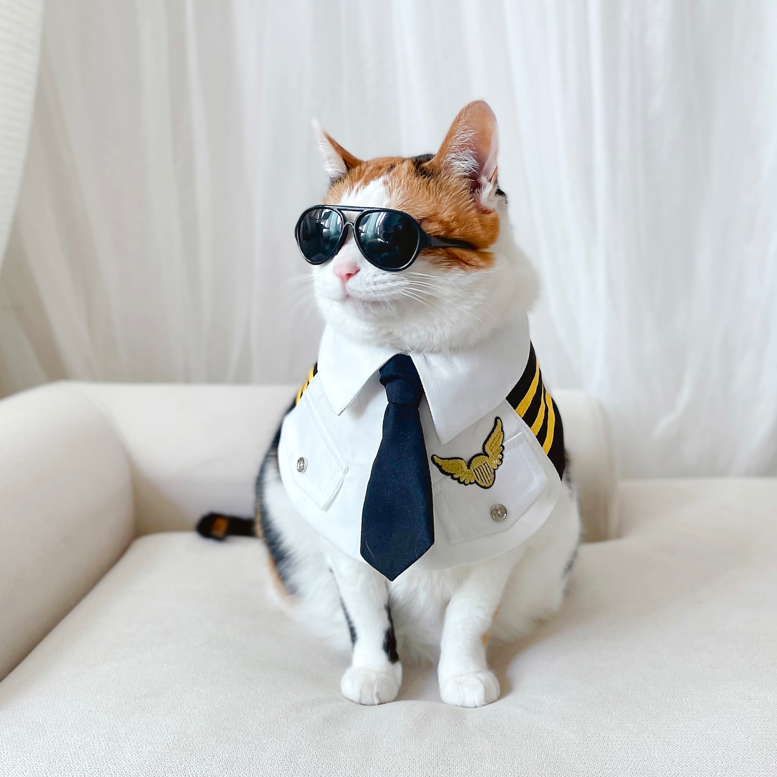 Pilot Pet Costume: Stewardess Cape Scarf for Cat or Dog - Etsy