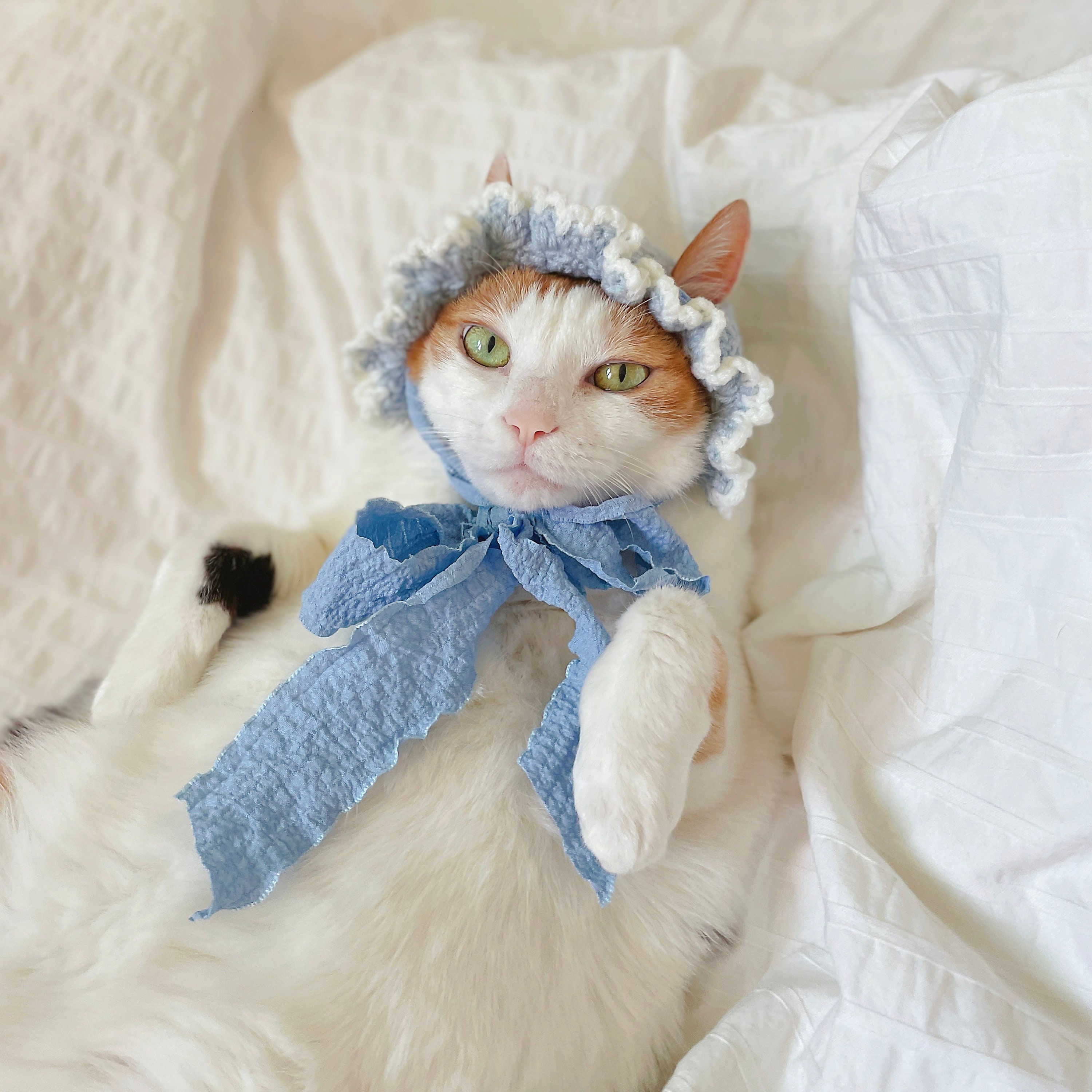 Knitted Pet Bonnet: Pink Ruffle Cat/dog Collar Costume - Etsy