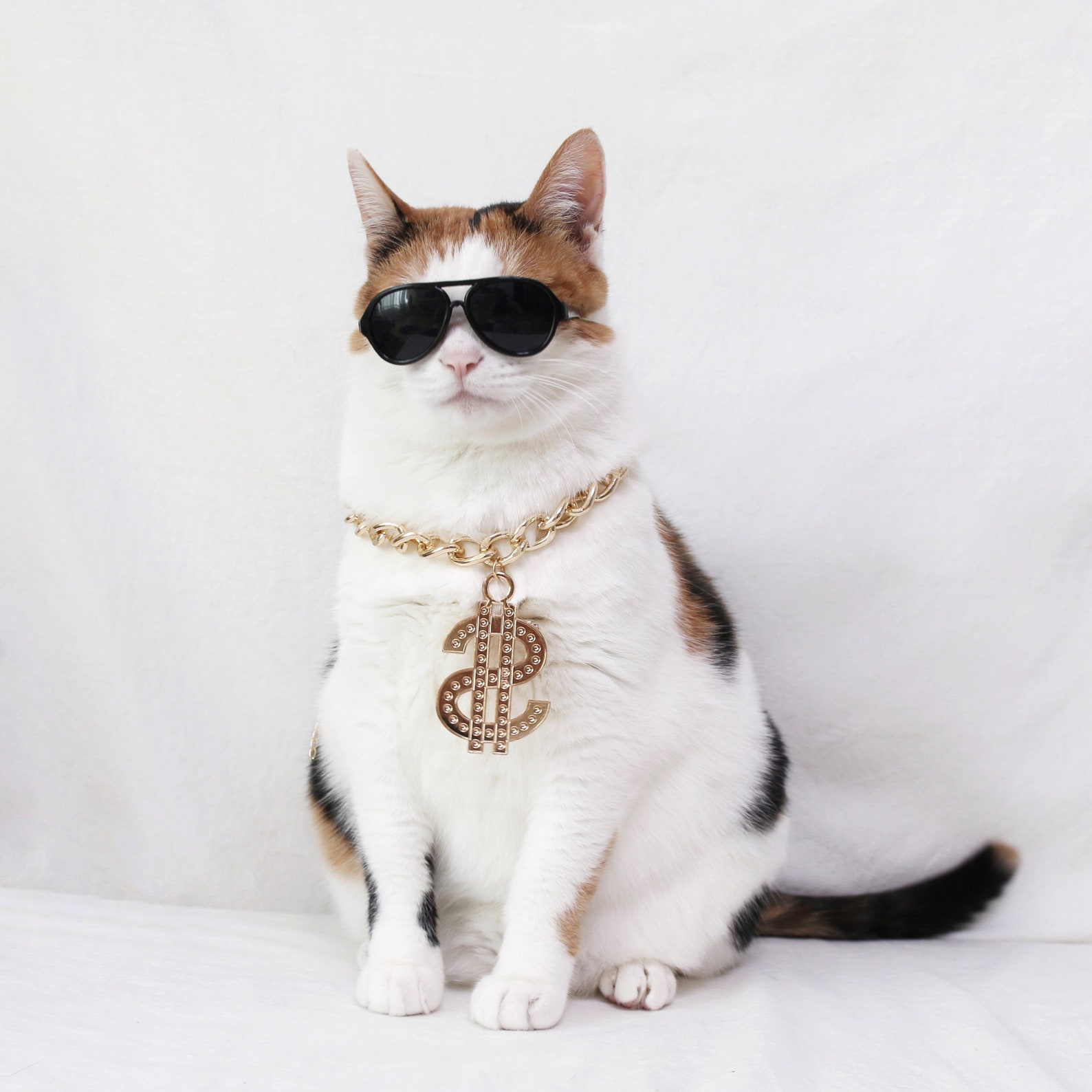 Cat Dog Hip Hop Dollars Chain Necklace Rapper Gold Boeing - Etsy