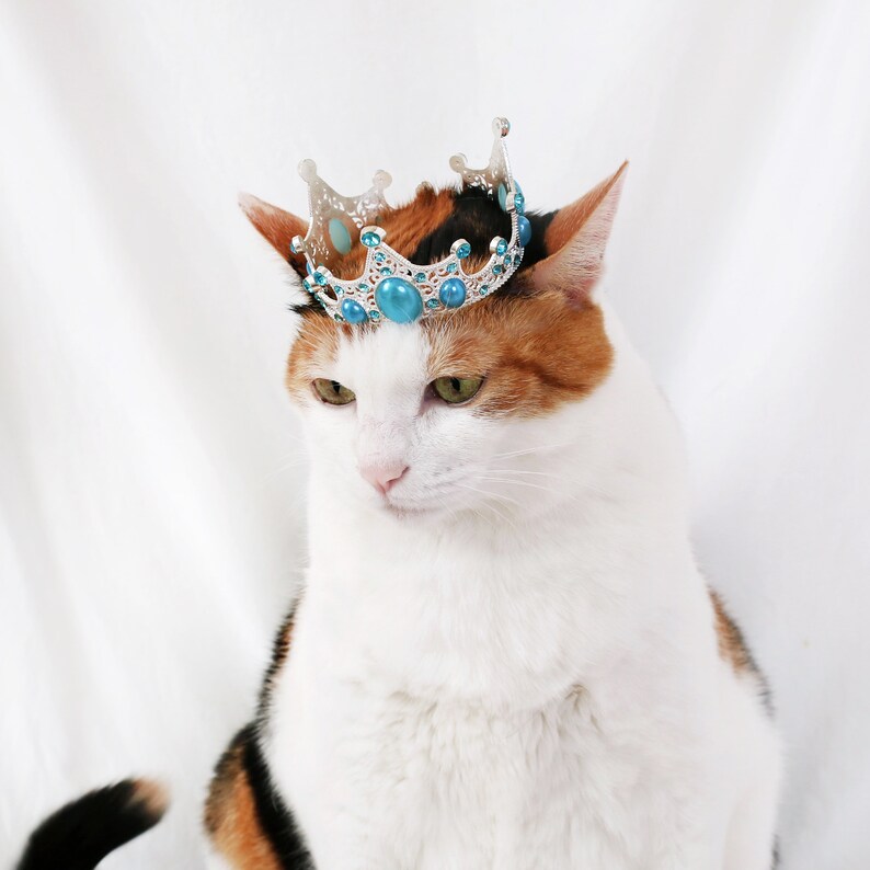 Blue Pearl Pet Crown: Cubic Alloy Tiara for Cat or Dog - Etsy