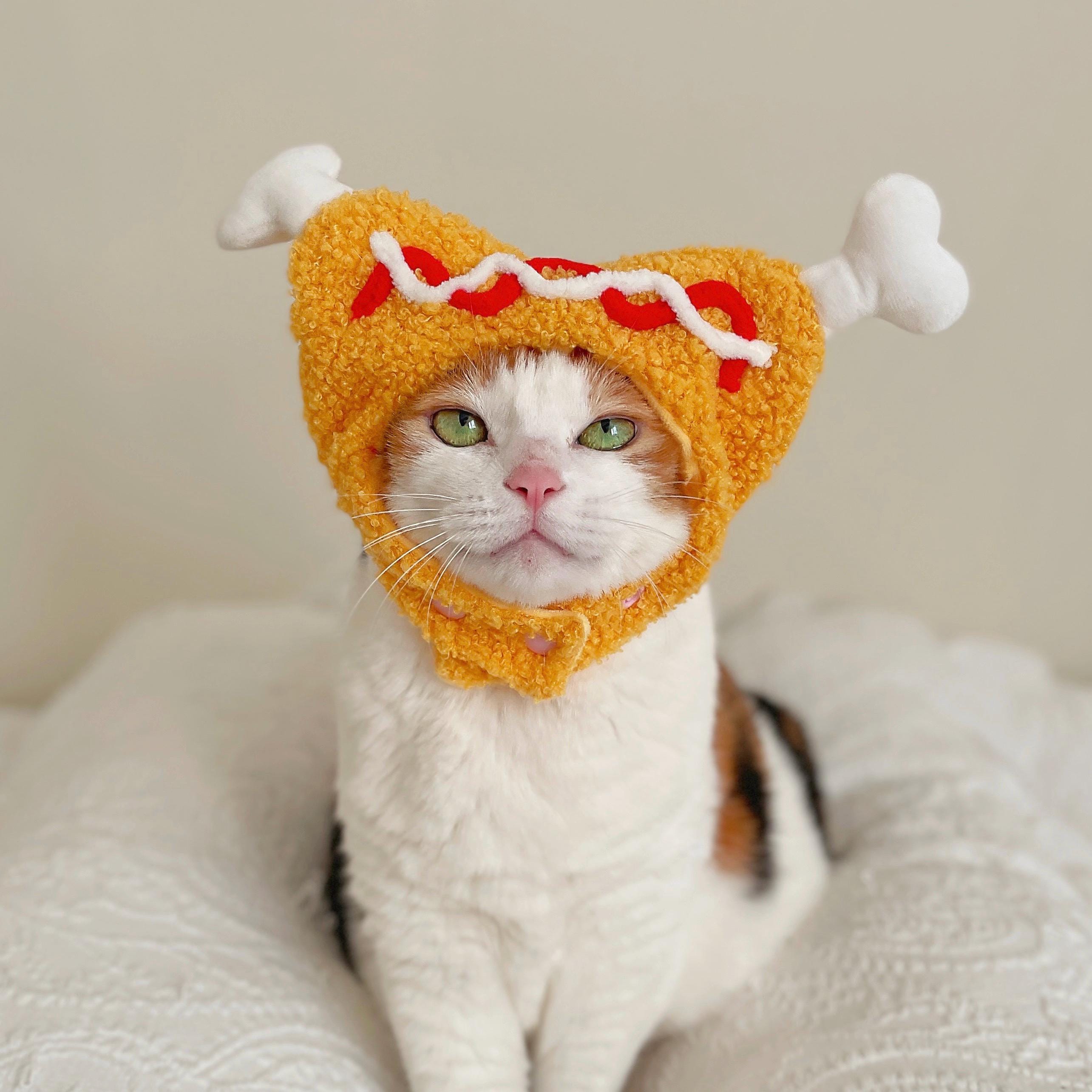 Funny Fried Chicken Hat With Ketchup: Cat & Small Dog Costume - Etsy