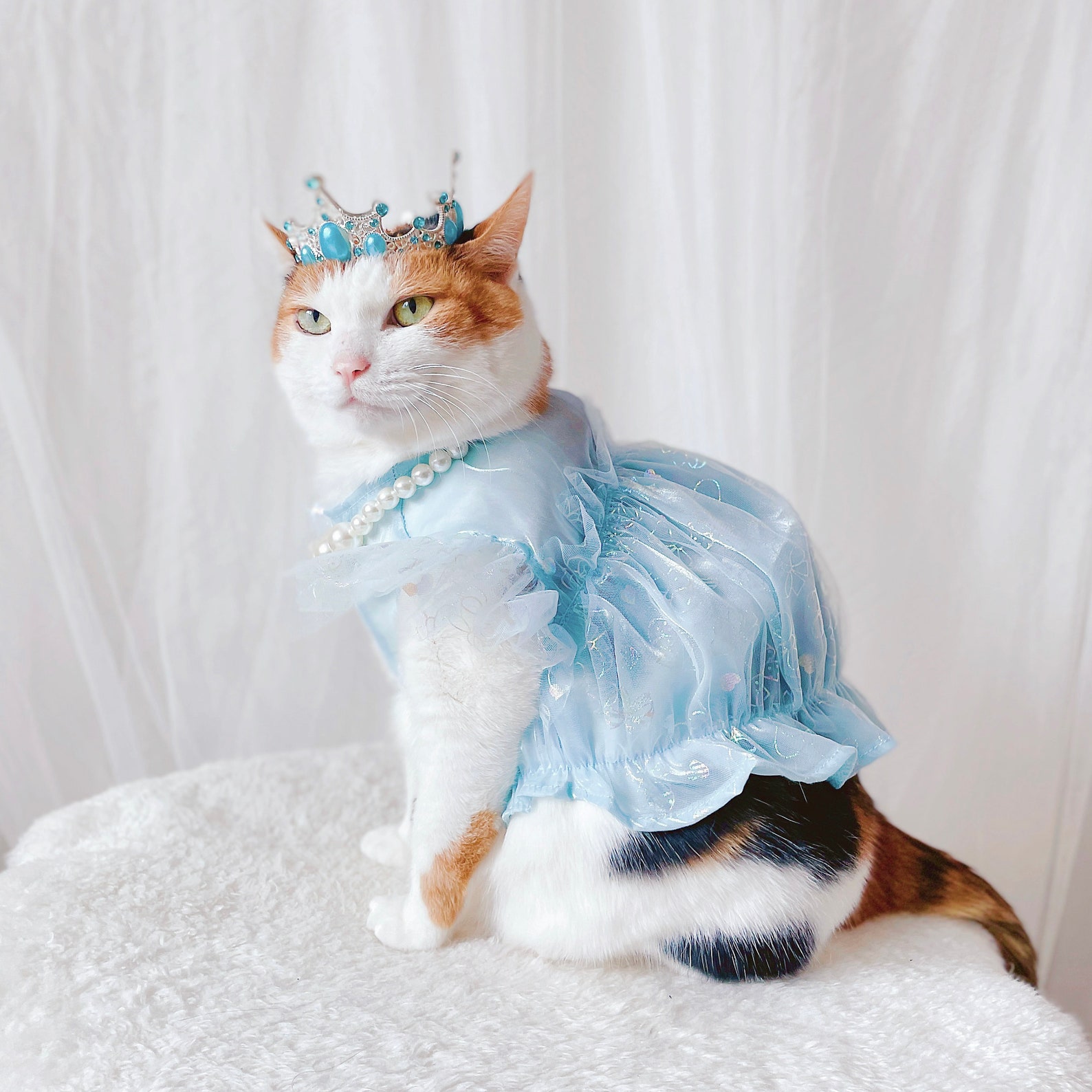 Blue Princess Dress Crown for Pet Cat Dog Chiffon Outfit Costume Pearl ...