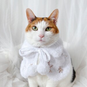 Gold Snow Queen Pet Cape: Christmas Cat/dog Costume - Etsy