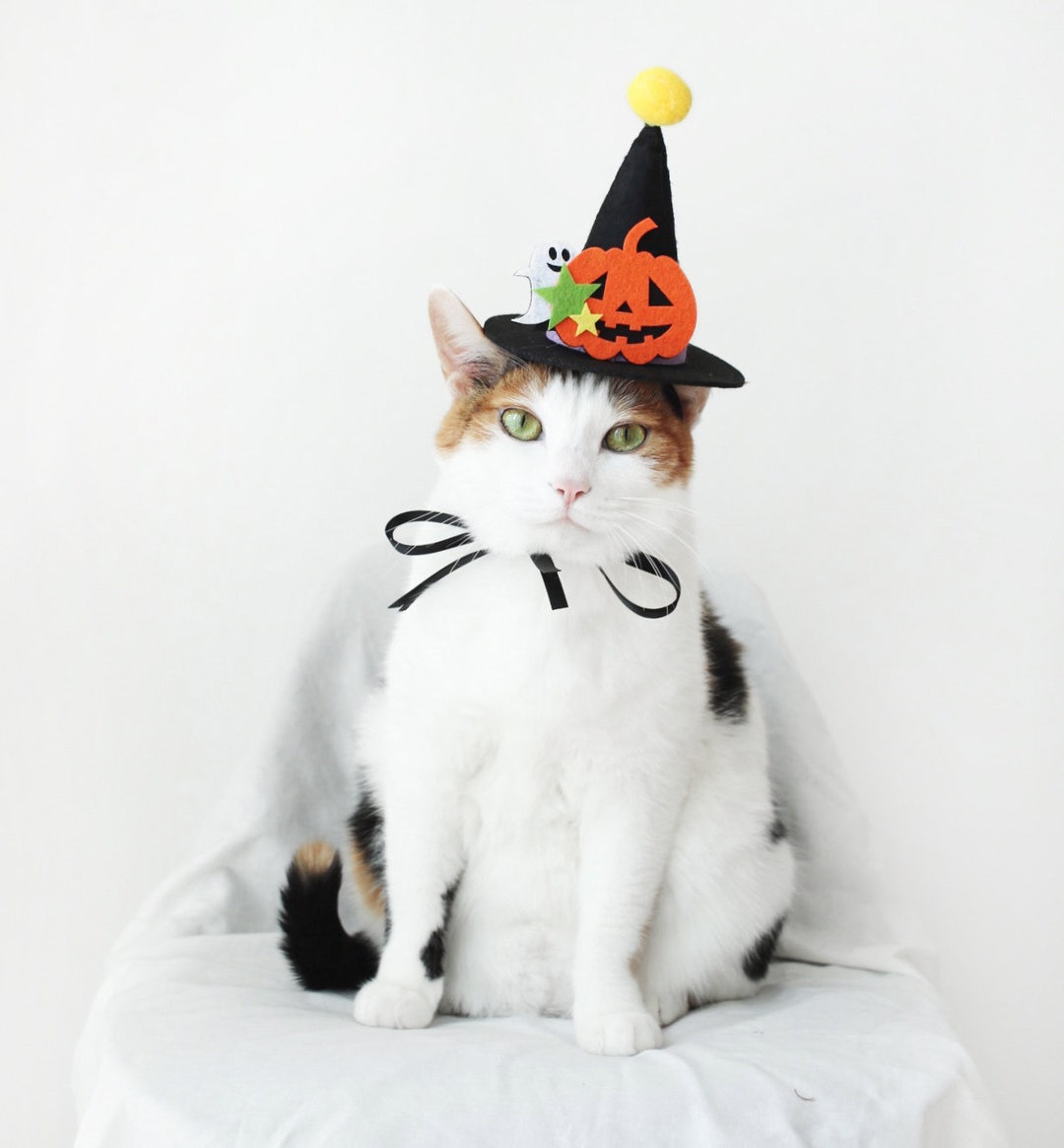 Dog Cat Halloween Pumpkin Hat Costume Crown Halloween Costume Miyopet ...