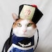 Pet Cat Dog Chinese Zombie Hat Cape Manteau Cloths Halloween - Etsy