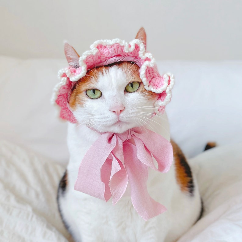 Knitted Pet Bonnet: Pink Ruffle Cat/dog Collar Costume - Etsy