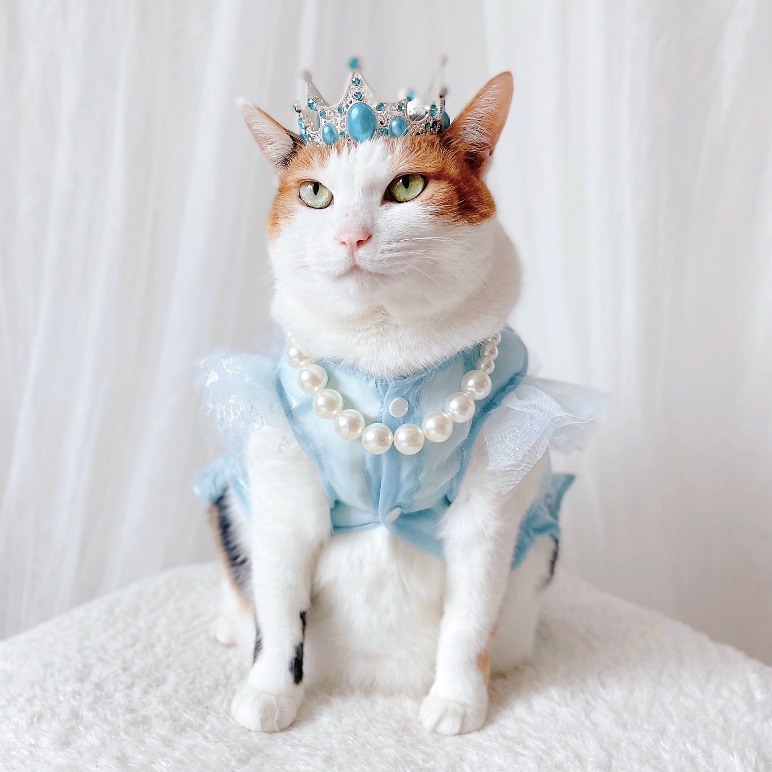 Blue Princess Dress Crown for Pet Cat Dog Chiffon Outfit Costume Pearl ...