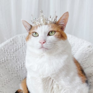 Pet Tiara Crown: Silver Pearl Crystal Cat Dog Necklace - Etsy