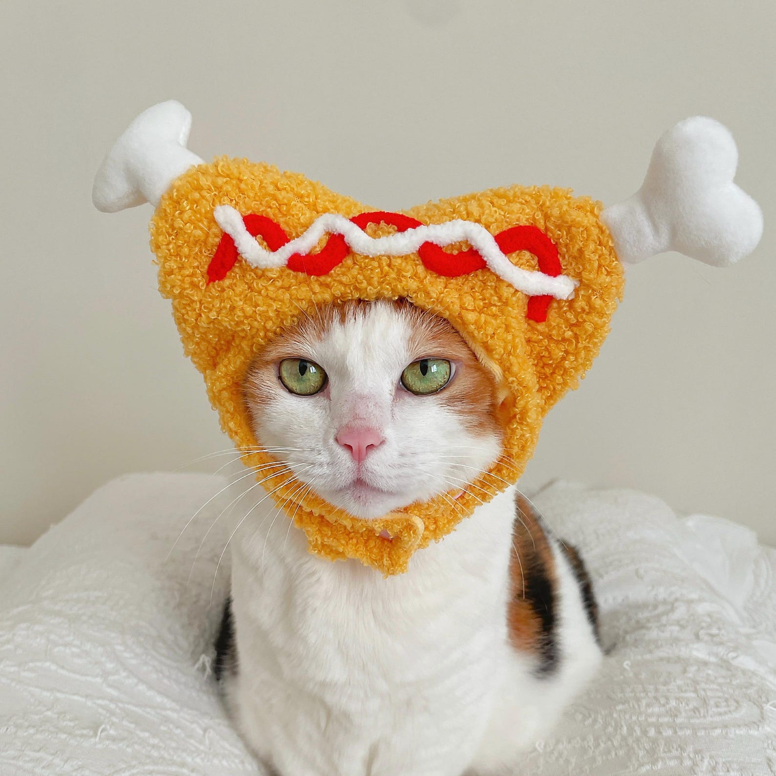 Funny Fried Chicken Hat With Ketchup: Cat & Small Dog Costume - Etsy