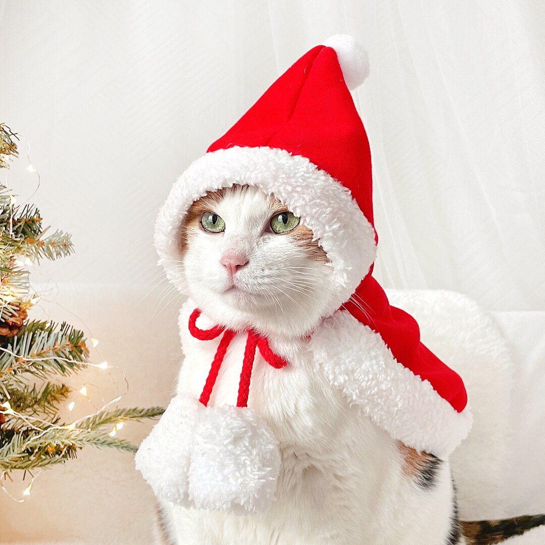 Christmas Santa Red Cape Hat Costume Hoodie Coat Cat Dog Pet Gifts ...