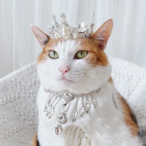 Pet Tiara Crown: Silver Pearl Crystal Cat Dog Necklace - Etsy