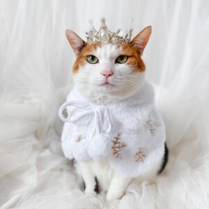 Gold Snow Queen Pet Cape: Christmas Cat/dog Costume - Etsy