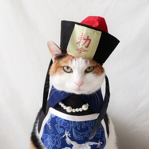 Pet Cat Dog Chinese Zombie Hat Cape Manteau Cloths Halloween Costume ...