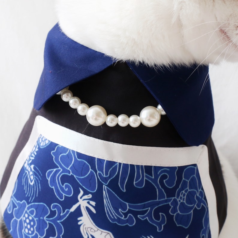 Pet Cat Dog Chinese Zombie Hat Cape Manteau Cloths Halloween Costume ...