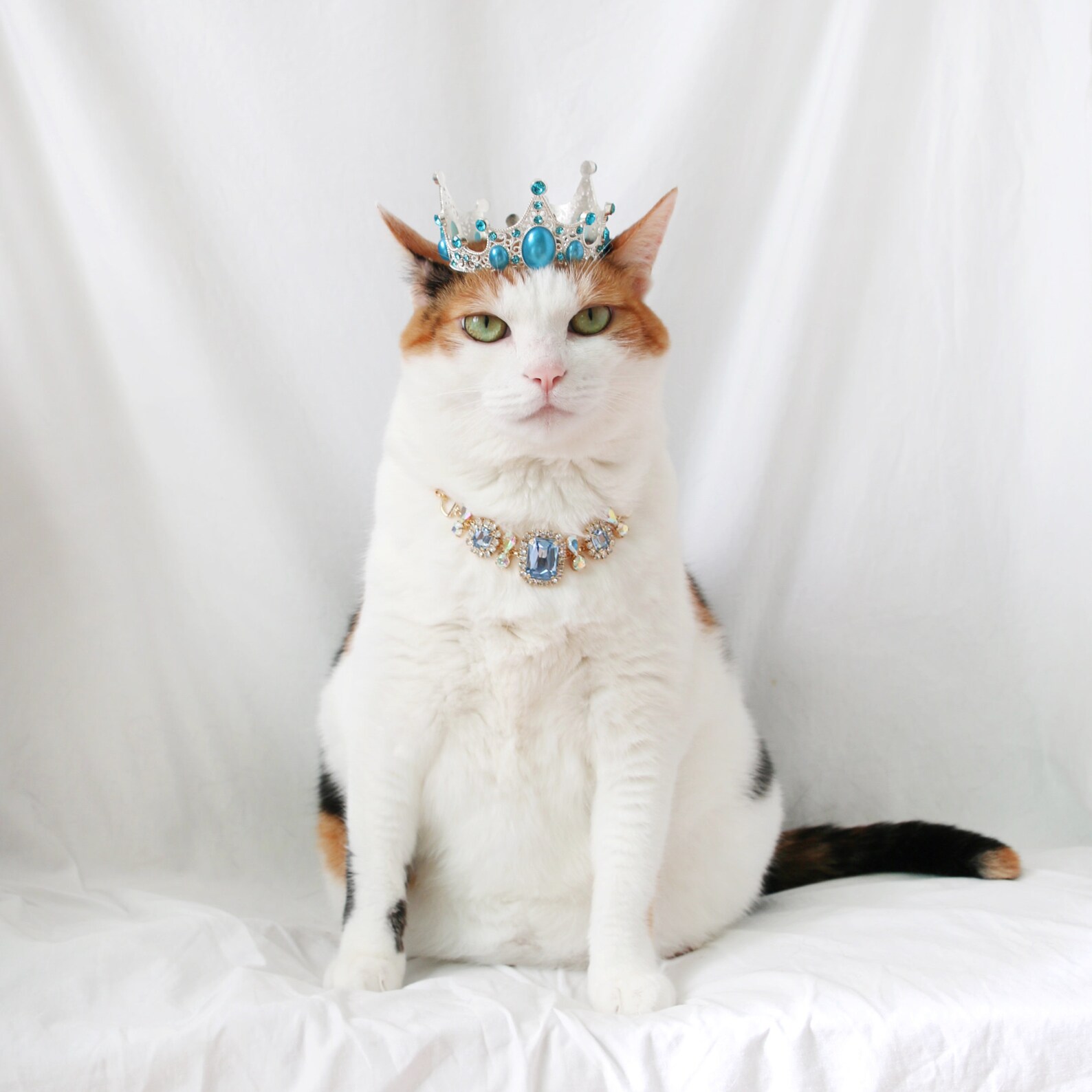 Blue Pearl Pet Crown: Cubic Alloy Tiara for Cat or Dog - Etsy