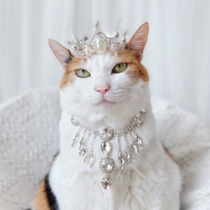 Pet Tiara Crown: Silver Pearl Crystal Cat Dog Necklace - Etsy