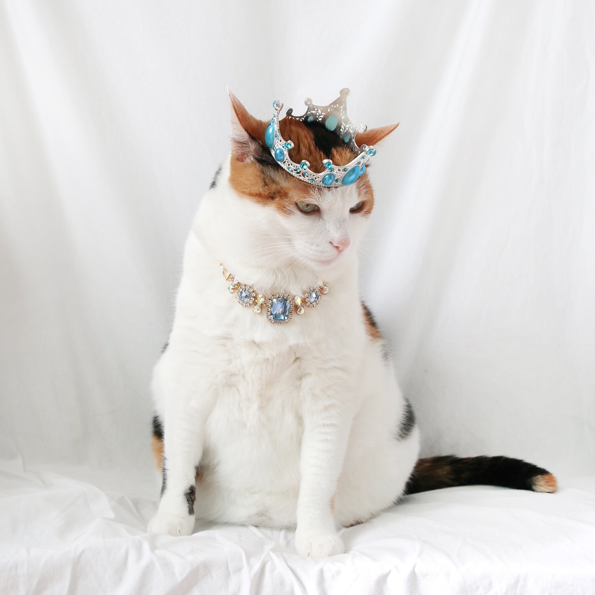 Blue Pearl Pet Crown: Cubic Alloy Tiara for Cat or Dog - Etsy