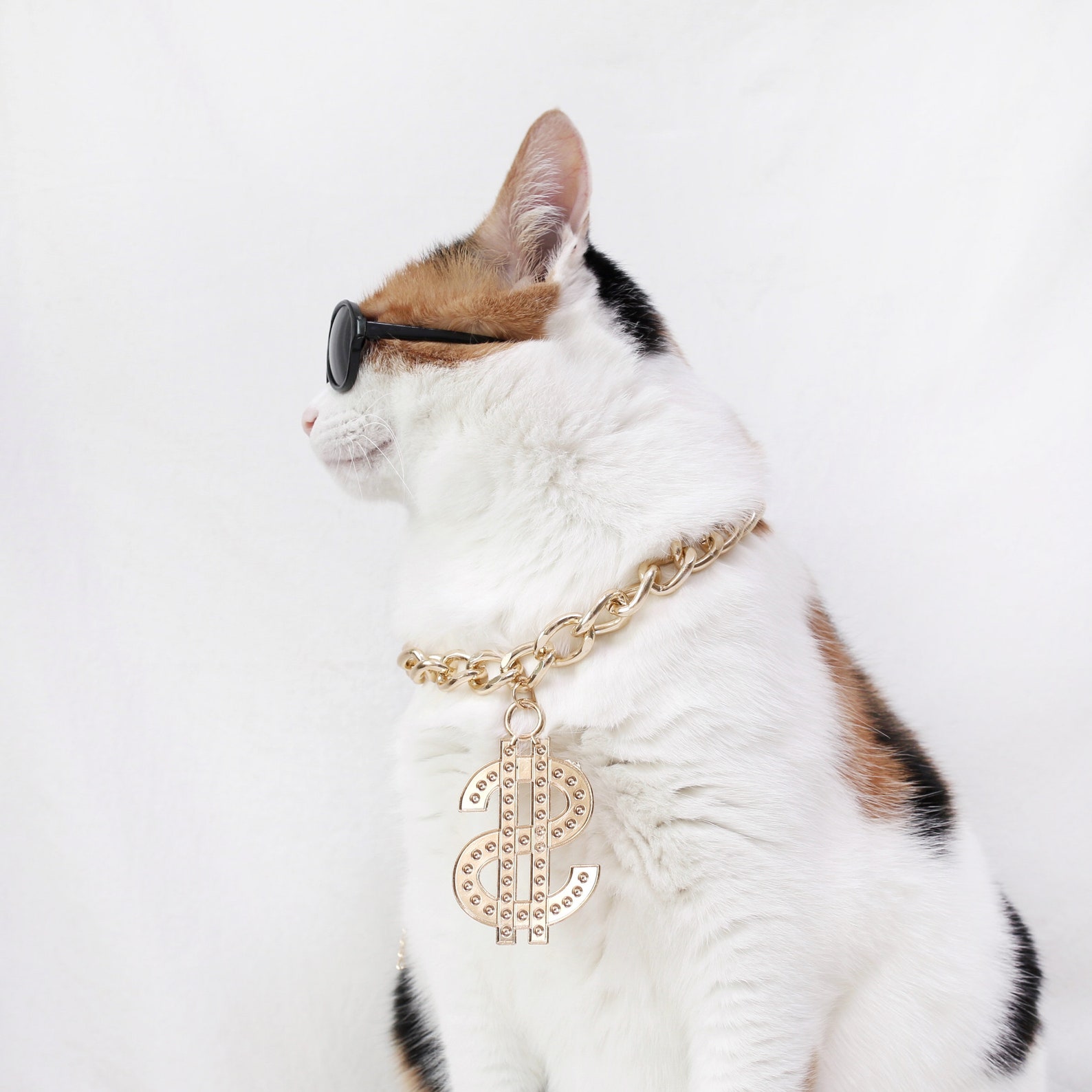 Cat Dog Hip Hop Dollars Chain Necklace Rapper Gold Boeing - Etsy