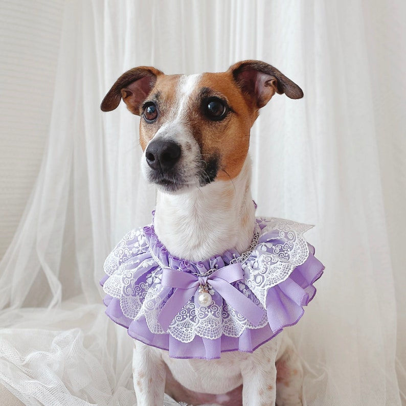 Lavender Lace Pet Collar: Scarf Cape, Cat/dog Necklace - Etsy