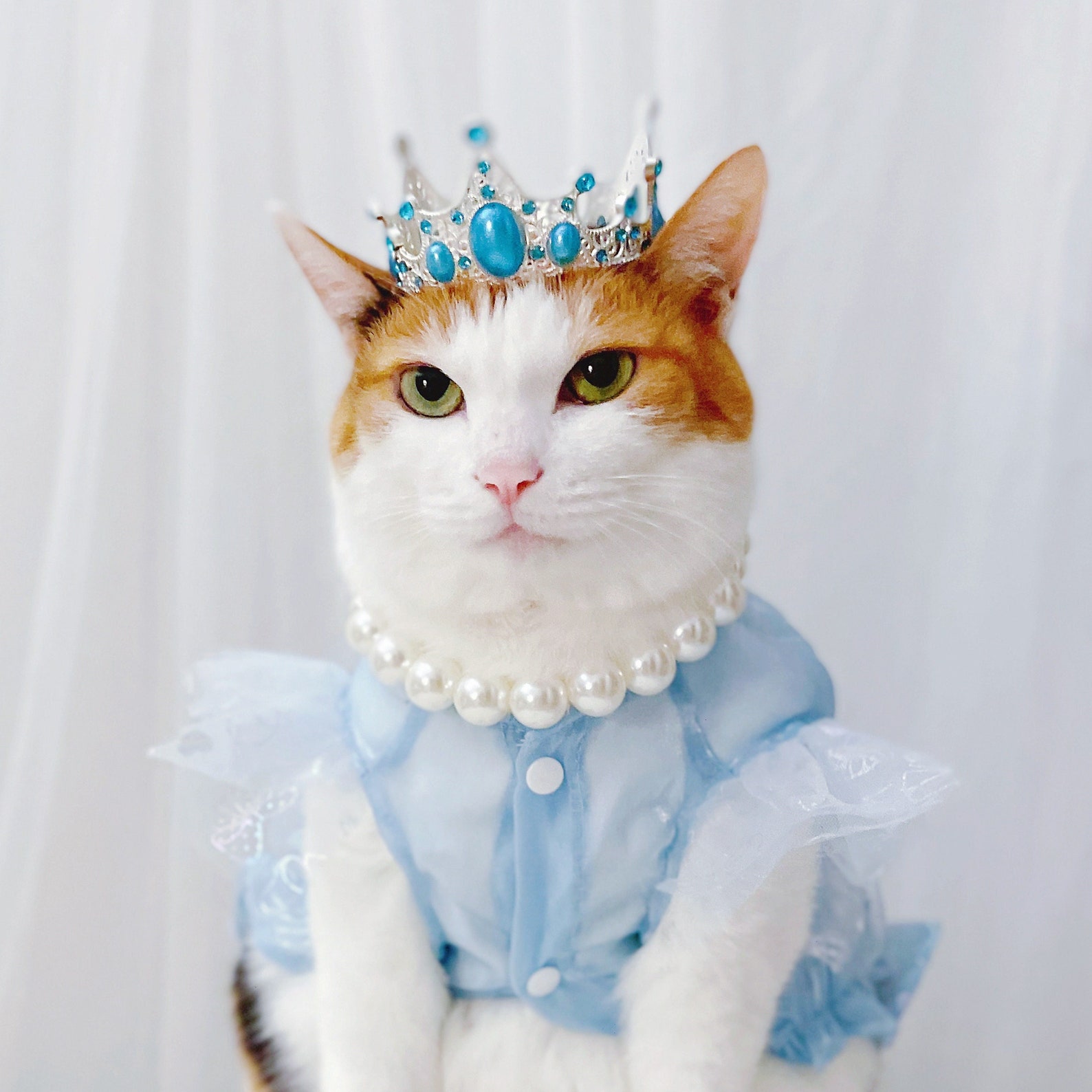 Blue Princess Dress Crown for Pet Cat Dog Chiffon Outfit Costume Pearl ...