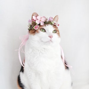 Pink Baby's-breath Flower Crown for Cat or Dog - Etsy