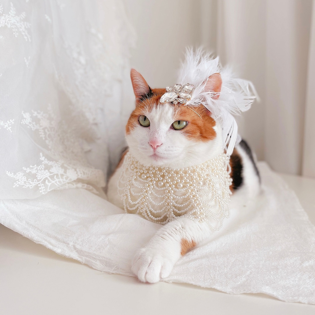 Gatsby Ivory Pearl Shoulder Cape for Cat Dog Pet Jewelry Flapper ...