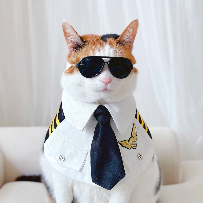 Pilot Pet Costume: Stewardess Cape Scarf for Cat or Dog - Etsy