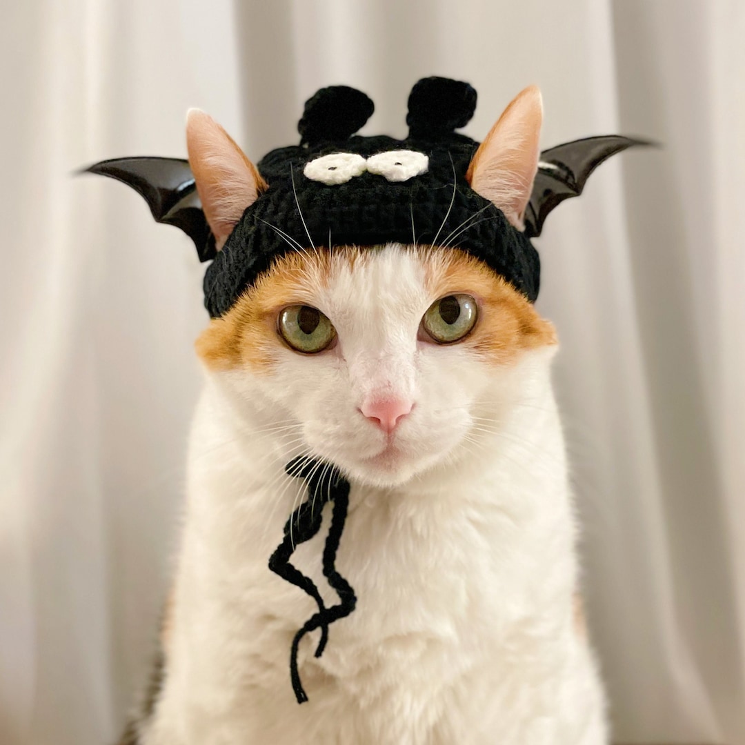 Cut Bat Knitted Hat for Cat Dog Photoshoot Halloween Costume Birthday ...
