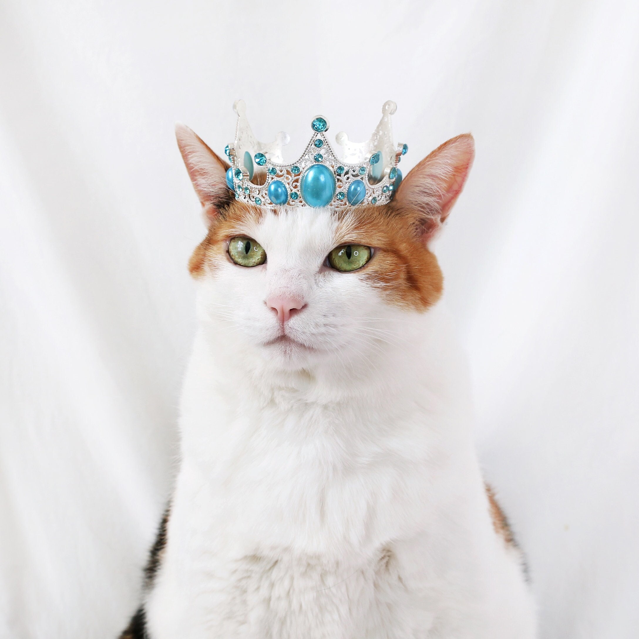 Blue Pearl Pet Crown: Cubic Alloy Tiara for Cat or Dog - Etsy