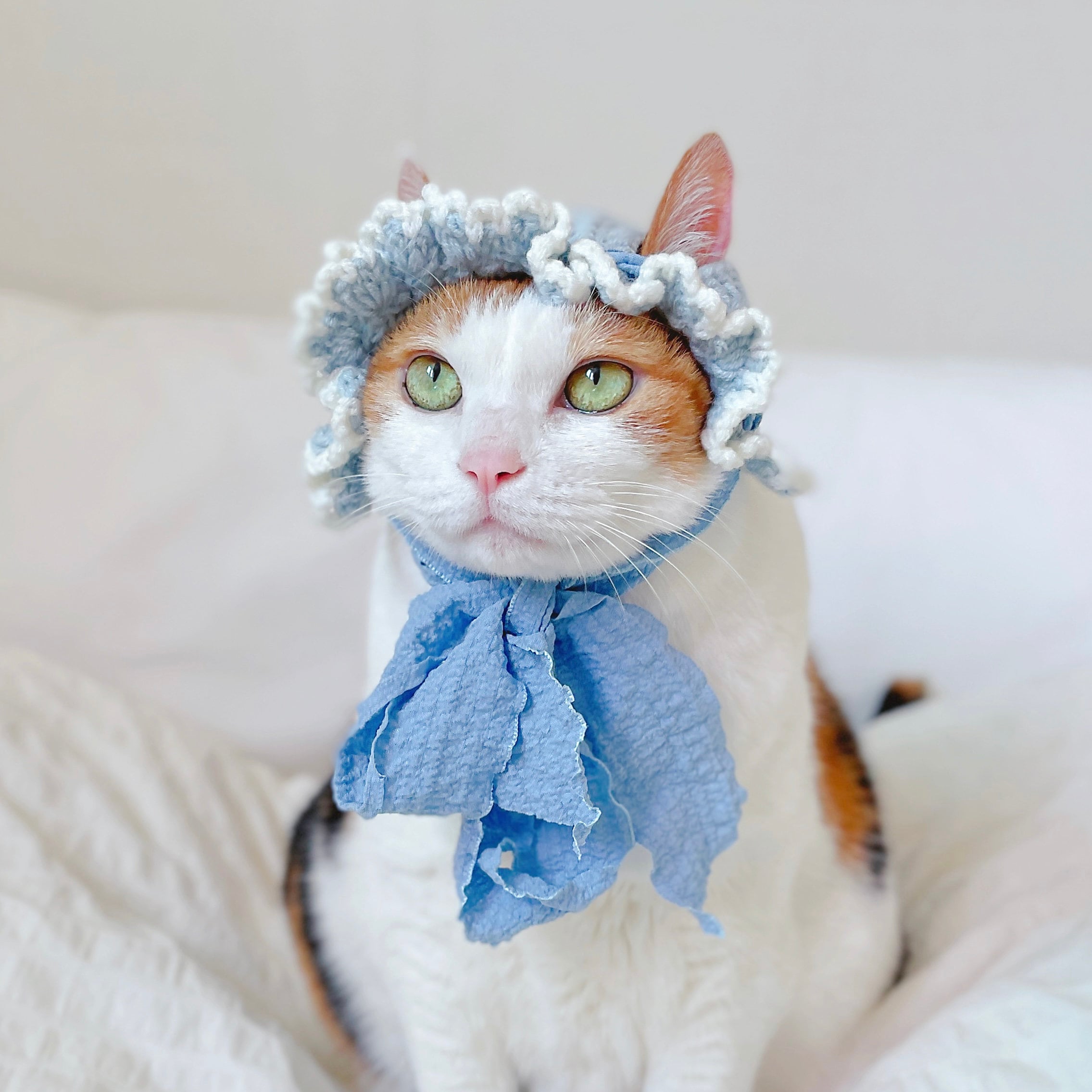 Knitted Pet Bonnet: Pink Ruffle Cat/dog Collar Costume - Etsy