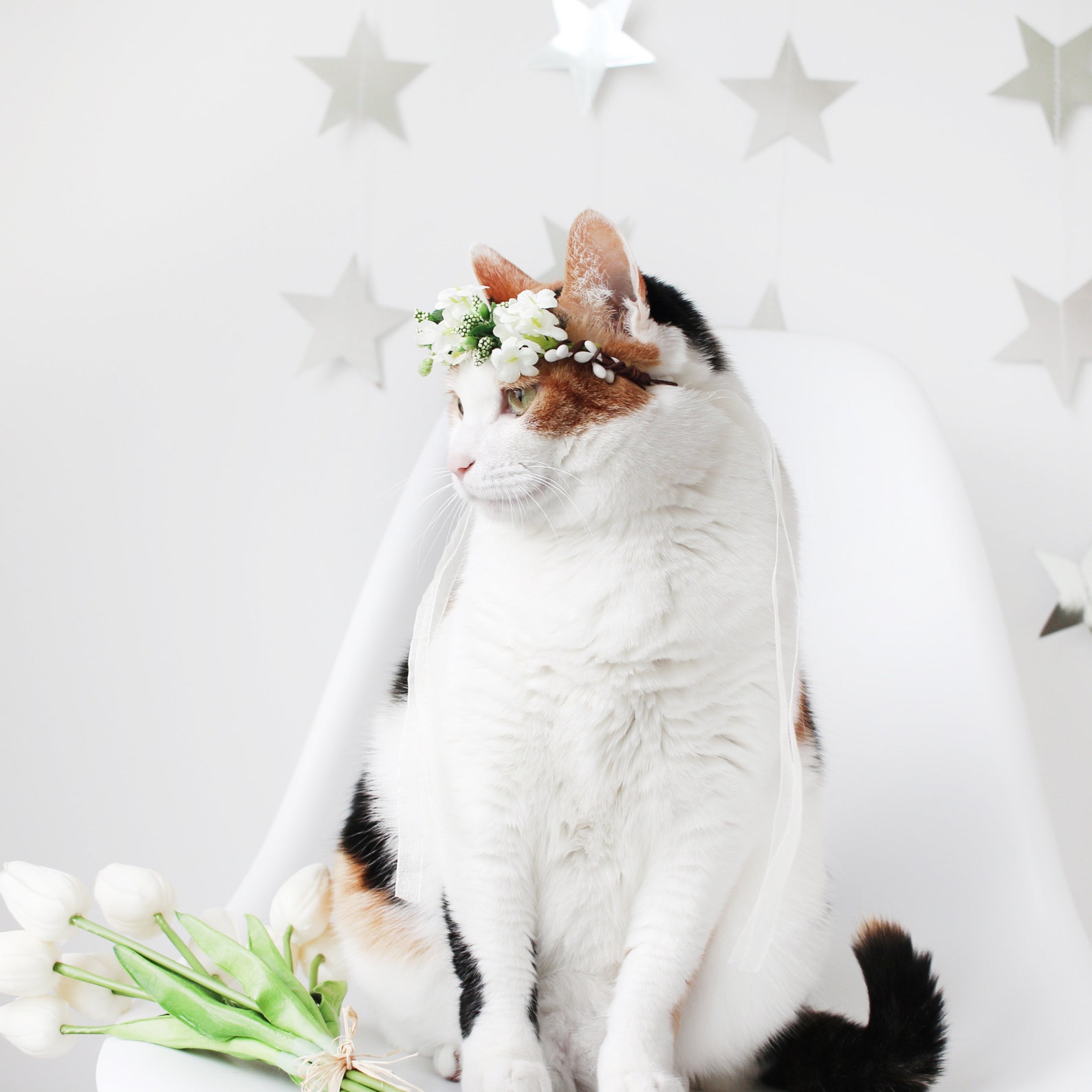 Cat Dog White Flower Hairband Headband Crown Halloween Costume - Etsy