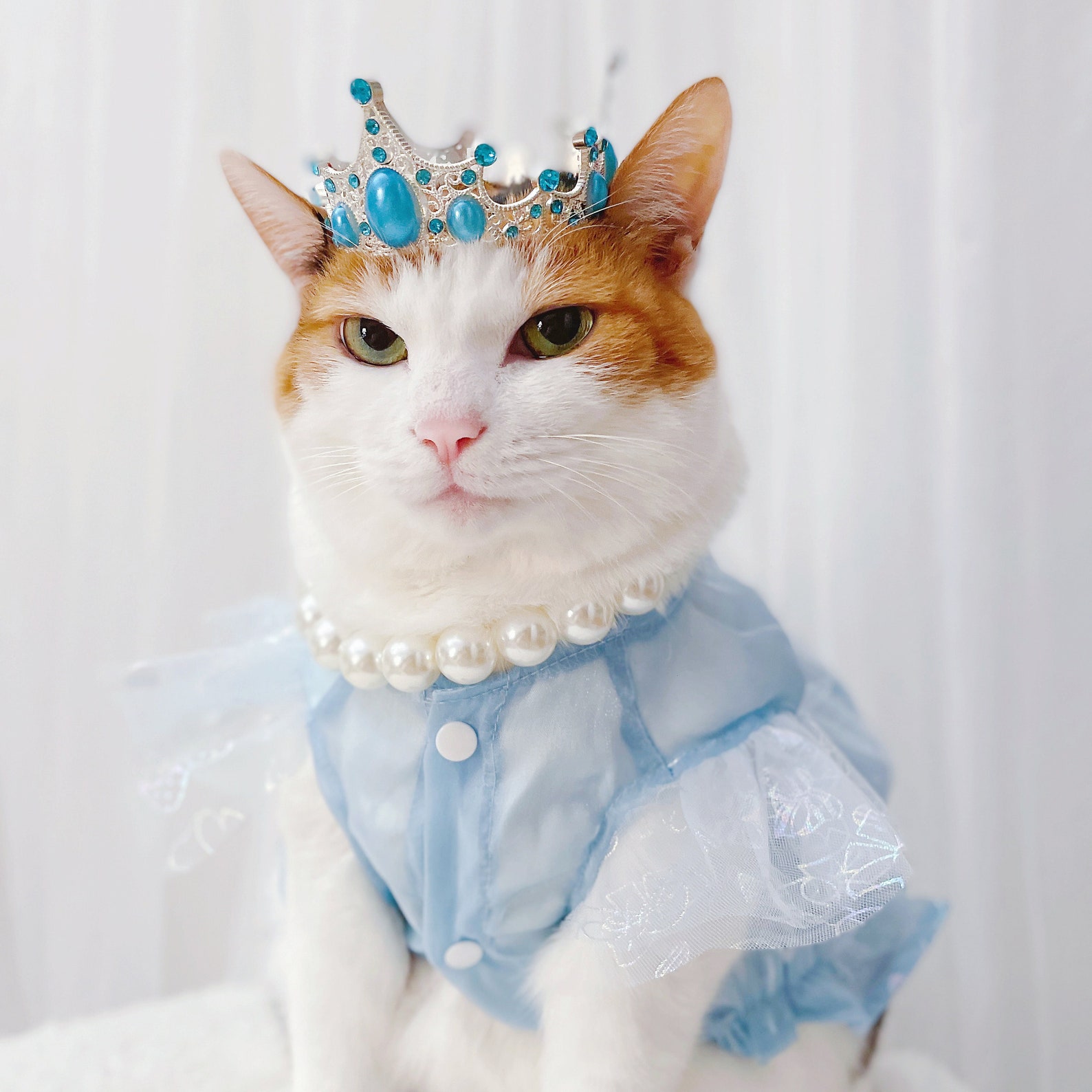 Blue Princess Dress Crown for Pet Cat Dog Chiffon Outfit Costume Pearl ...