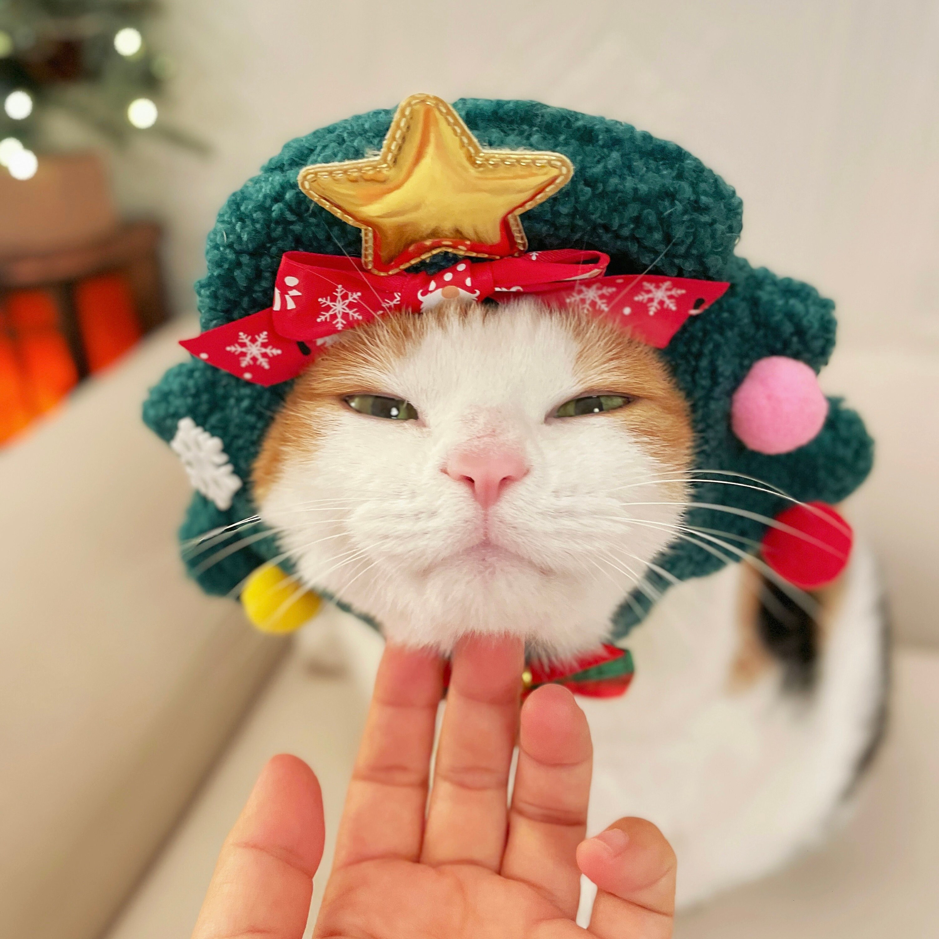 Christmas Tree Hat for Cat Dog Photoshoot Costume Winter Beanie Beret ...
