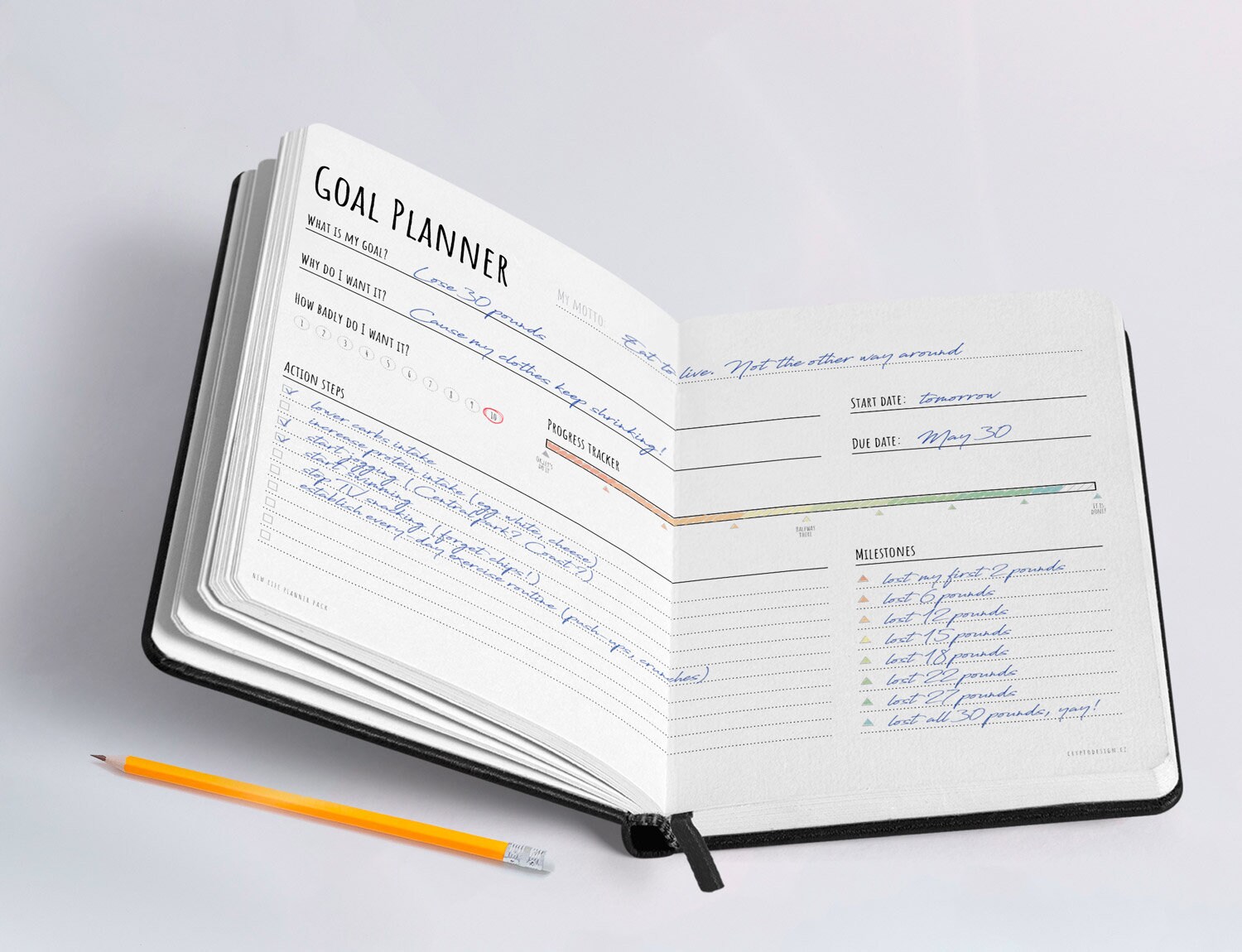 Goal Planner Insert Printable PDF A4 Landscape Instant Download - Etsy