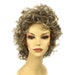 1990's CHER Character PREMIUM Quality Theatrical Costume Wig by Funtasy ...