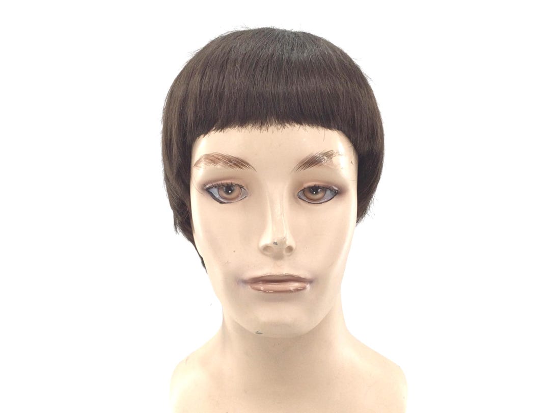 NEW! Dumb & Dumber Bowl Cut Short Bob Wig With Bangs – Brown - Etsy