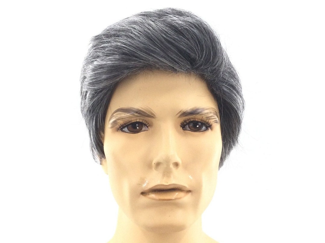 Johnny Rose Wig: Schitt's Creek Costume, Gray Mix Synthetic Fiber - Etsy
