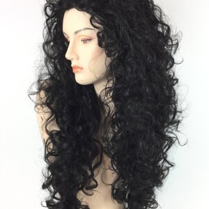 1990's CHER Character PREMIUM Quality Theatrical Costume Wig by Funtasy ...