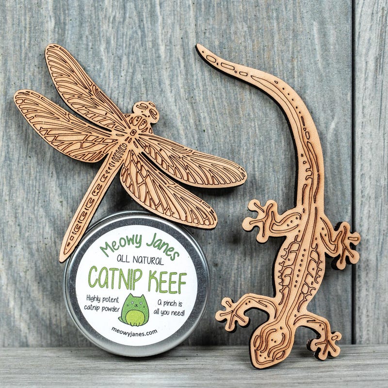 Gecko Enrichment Toys - Etsy