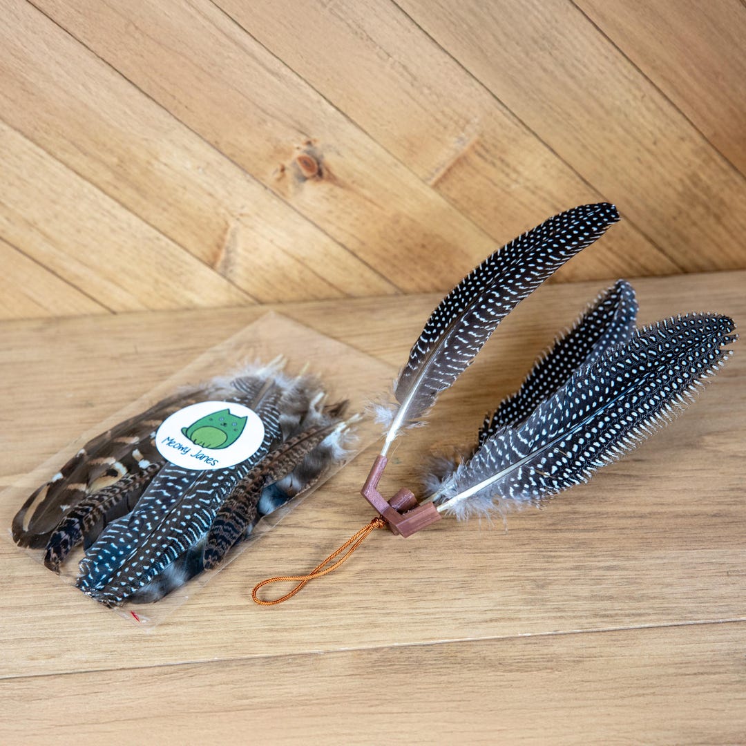 Refillable Feather Cat Teaser Attachment: Wand Toy With 24 Feathers ...