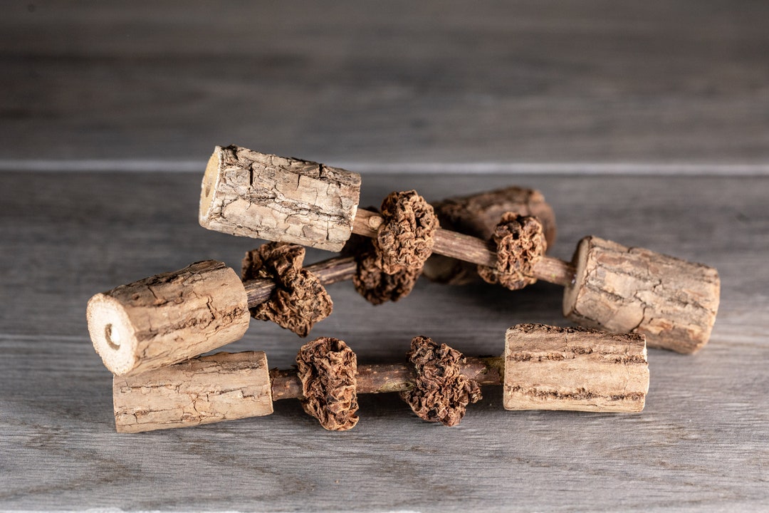 Kebab Cat Toy Chew Sticks Matatabi Silvervine Stick and Gall Fruit ...