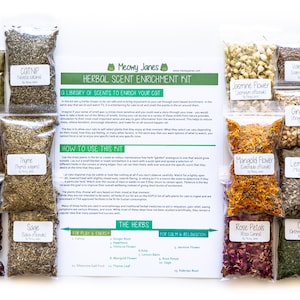 Cat Scent Enrichment Kit | 13 Herbs | Improve Wellbeing | Cat Toy | Cat ...