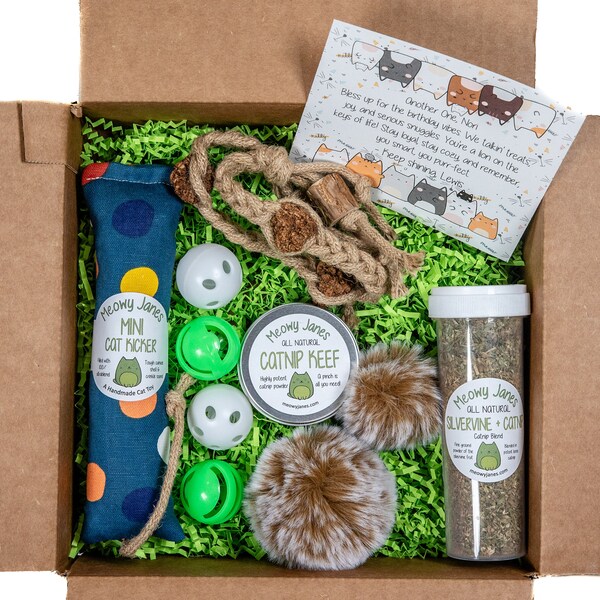 Cat Gifts - 60+ Gift Ideas for 2025