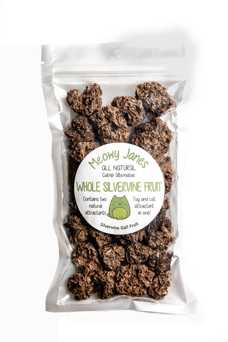 Whole Silvervine Fruit All Natural Cat Toy Dried Gall - Etsy