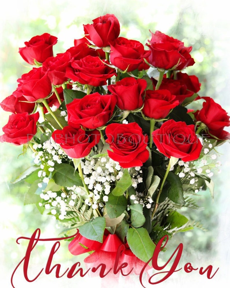 Red Rose Thank You Cards, Blank Inside, Greeting Card, Gift Card - Etsy