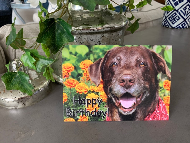 Labrador Retriever Birthday Card, Lab Birthday Card, Labrador Retriever ...