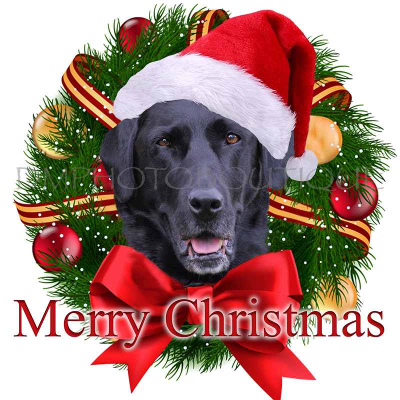 Merry Christmas Black Lab