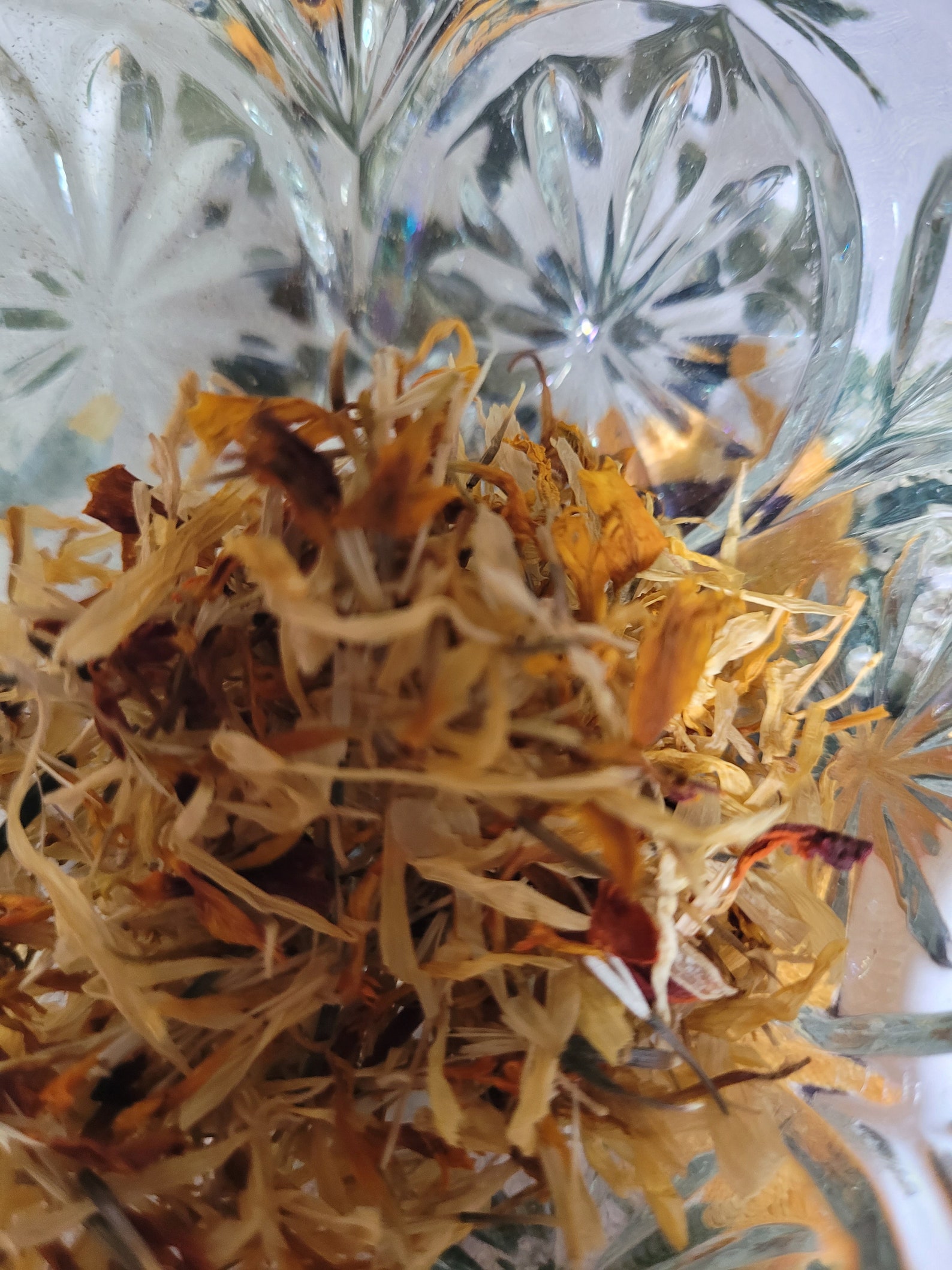 Michigan French Marigold - Dried Petals - Etsy