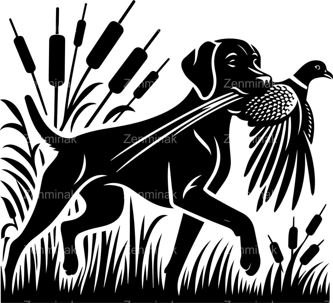 4 SVG Hunting Dog Labrador Retrieving Pheasant Upland Bird Silhouette ...