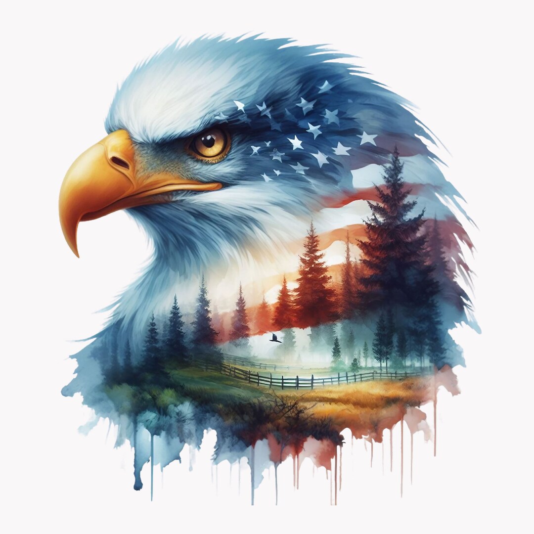 Patriotic Eagle Clipart, American Flag PNG, Veterans Day, Freedom ...